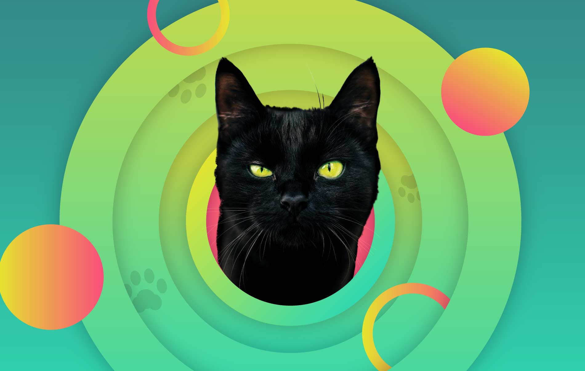 Supermercados Compre Bien